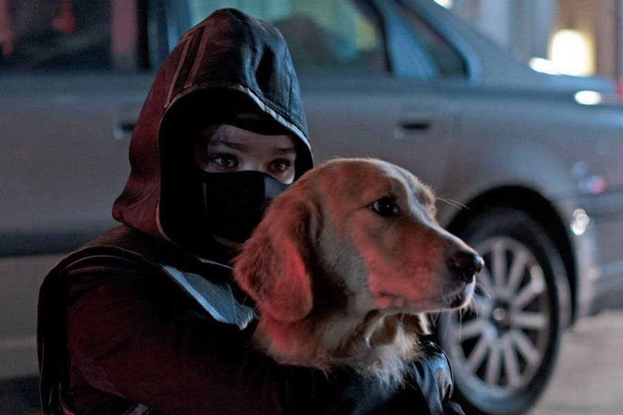 Conoce a Jolt, aka Pizza Dog, la estrella emergente de Hawkeye | Marvel